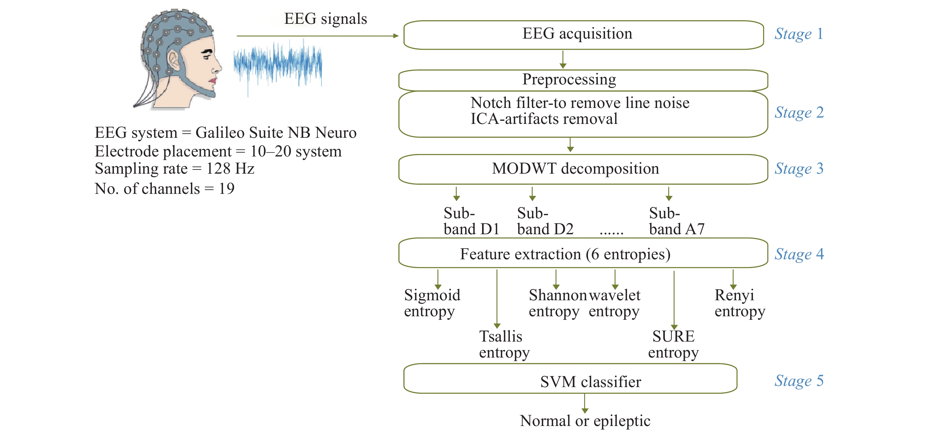Complexity analysis and dynamic characteristics of EEG using MODWT based entropies for ...